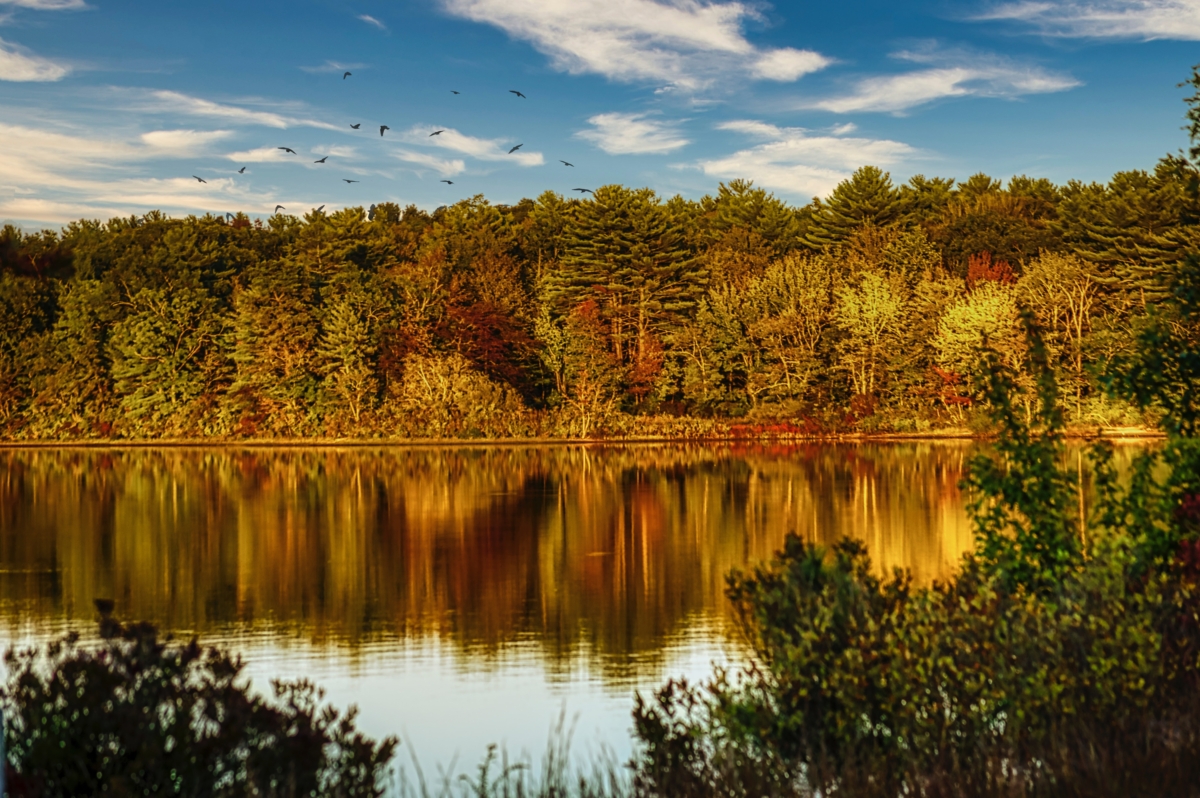 The 10 Best Hikes in the Boston Area
